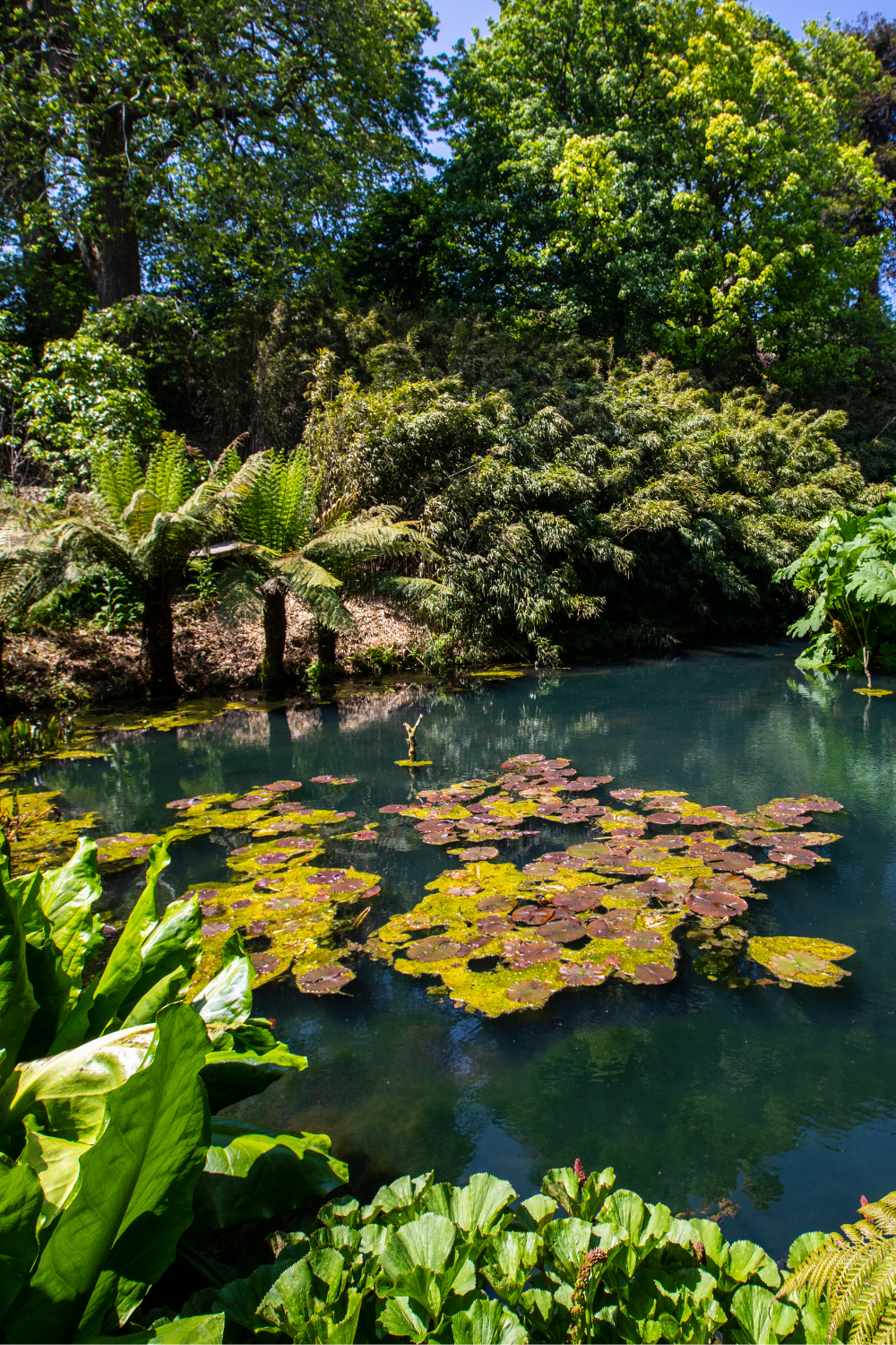 50 Amazing Things to do in Cornwall This Year - awhimsicalsoul