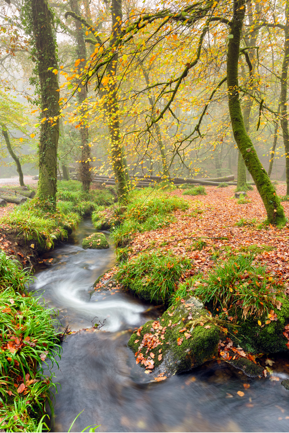 50 Amazing Things to do in Cornwall This Year - awhimsicalsoul